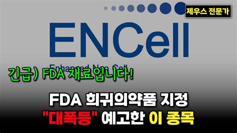 이엔셀 주가 전망 지수만 받쳐 주었더라면 이 가격 에서 모아가셔야 합니다 이엔셀 이엔셀주가 이엔셀주가전망 Youtube