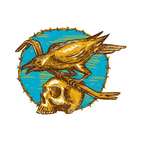 Crow Perching Crowbar Skull Barbed Wire Drawing 12057683 Vector Art At
