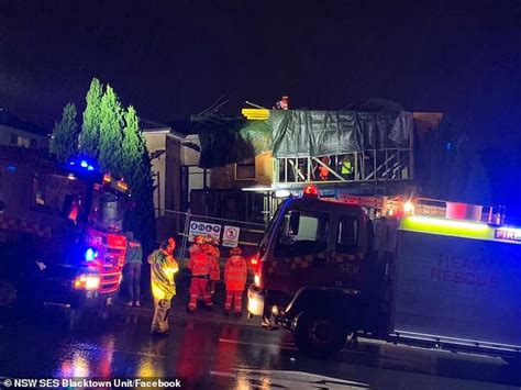 Three Motorists And Six Cows Rescued From Flooding As Wild Weather Batters NSW South Coast