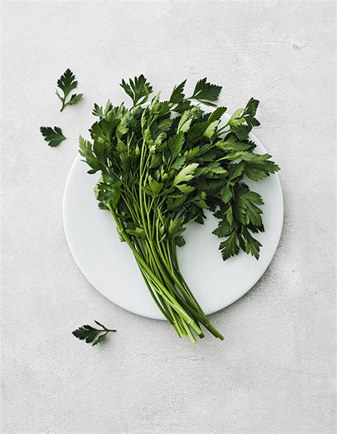 마켓컬리 이탈리안 파슬리 30g 위시버킷