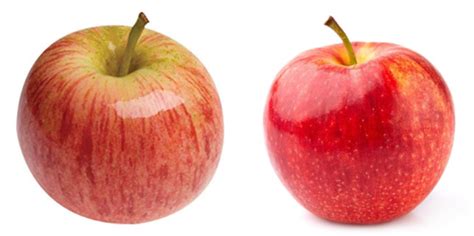 Comparing Histograms Using Opencv Python Theailearner