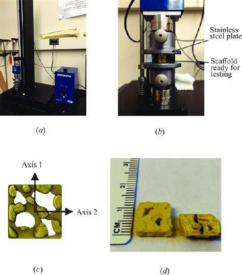 Compression Test Setup A Mtest Quattro System Used For Compression
