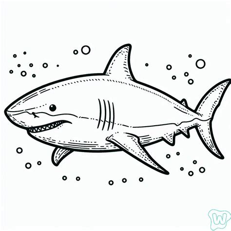 20 Tiburones Para Colorear Descargar Pdf Para Colorear