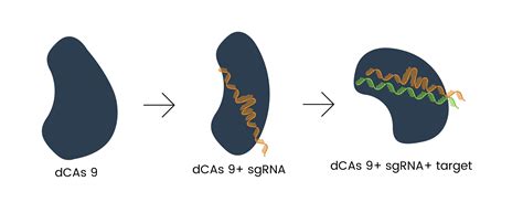 Team Tec Costa Rica Project System Detection