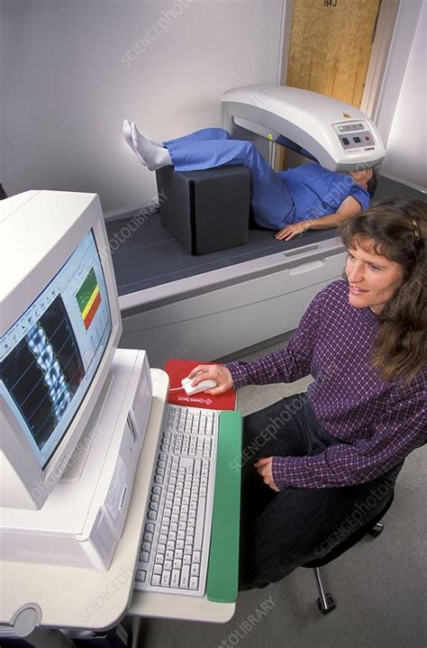 Bone Density Scan Stock Image C0083974 Science Photo Library