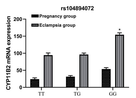 Relationship Between Cyp11b2 Rs104894072 Polymorphism And Gene