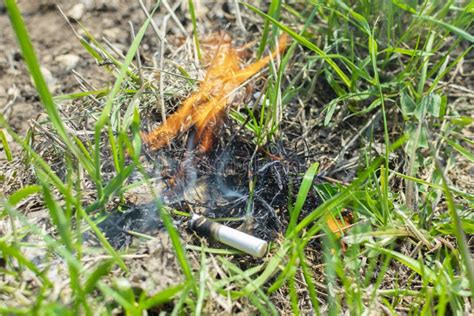 Cigarette Causing A Dangerous Fire On The Forest Stock Image Image Of