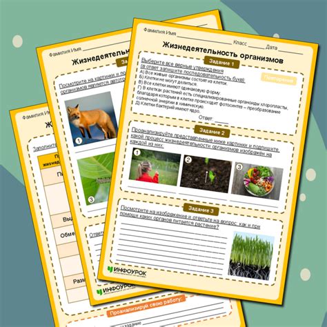 Рабочий лист по биологии для 5 класса на тему «Жизнедеятельность организмов