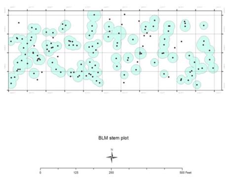 tree spatial patterns in forests part i what they are and why they are
