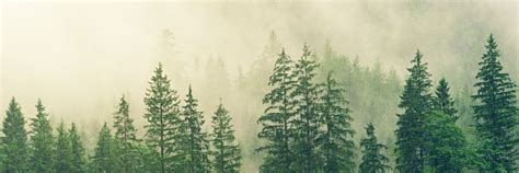 Annawaldmannbskysocial On Bluesky