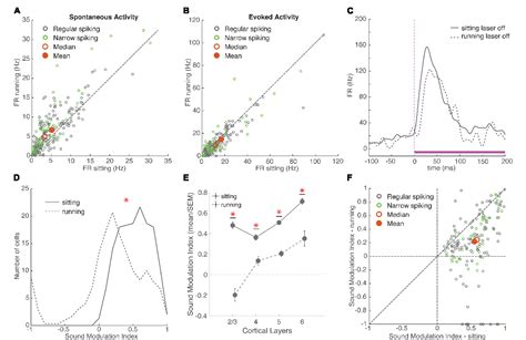Figure 2 From Effects Of Locomotion In Auditory Cortex Are Not Mediated
