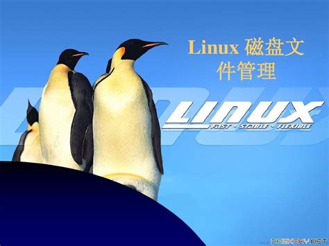 Linux服务器配置与管理2word文档在线阅读与下载无忧文档