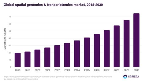 Microscopy Based Rna Imaging Techniques Spatial Genomics And Transcriptomics Market Outlook