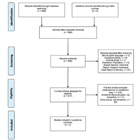 Broberg And Morrey Score Download Table