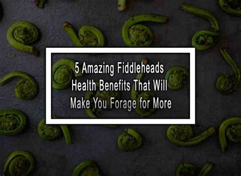 5 Amazing Fiddleheads Health Benefits That Will Make You Forage For More