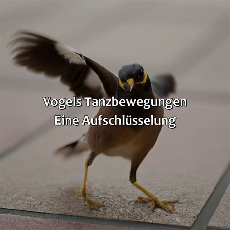 Vogel Tanzt Wie Michael Jackson Vogelwunderland