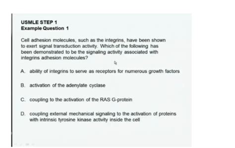 Adhesion And Extracellular Matrix Flashcards Quizlet