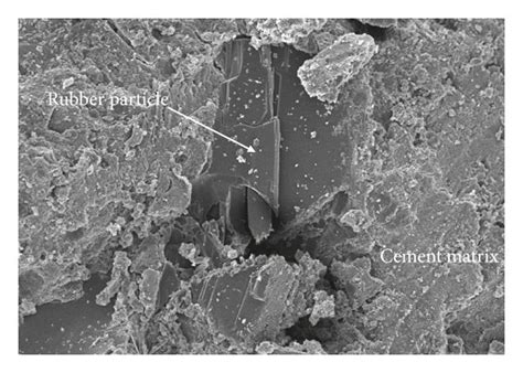 Microstructures Of The Interfacial Transition Zone Subjected To A 0 Download Scientific