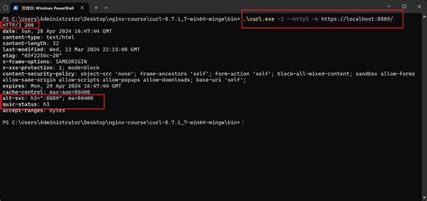 docker nginx 支持 李钟意讲前端