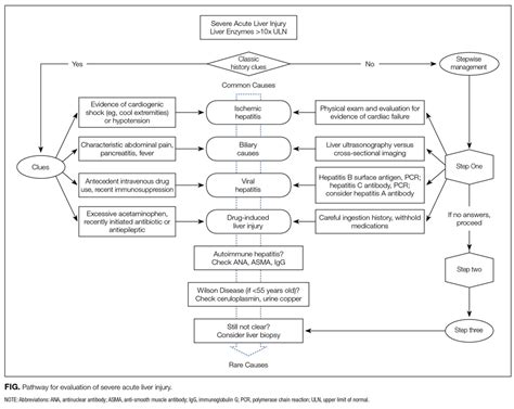 Focused Evaluation Algorithm For Acute Liver Injury Liver Grepmed