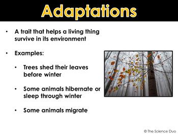 Changes In Ecosystems PowerPoint And Notes By The Science Duo TPT