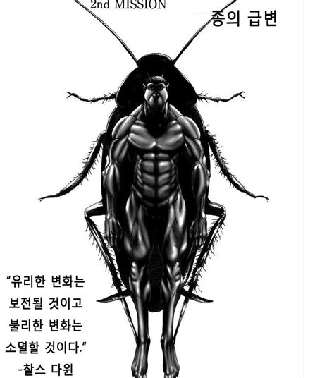 드디어 애니화