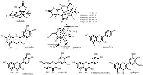 Scheme 1 Ion Fragmentation Nomenclature Used For Flavonoid Glycosides