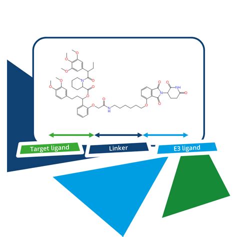 Protac Design • Biosolveit