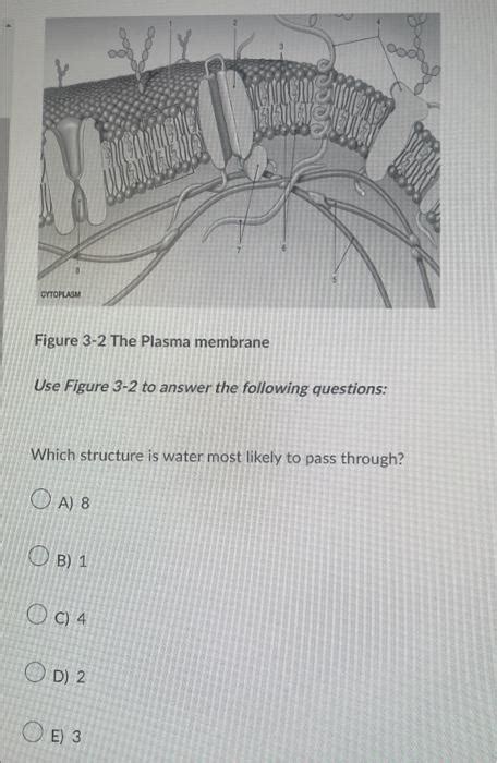 Solved Use Figure 3 2 To Answer The Following Questions