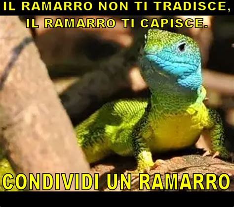 Alessandro Demontis On Linkedin Pubblicitàprogresso Messaggisociali