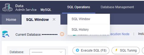 Executing Sql Plansql Operationsrds For Postgresqluser Guidedata