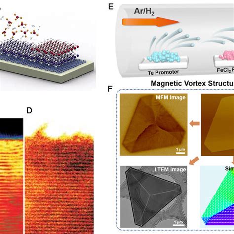 Synthesis Of 2d Materials By Cvd A Schematic Diagram Of The Cvd Download Scientific Diagram