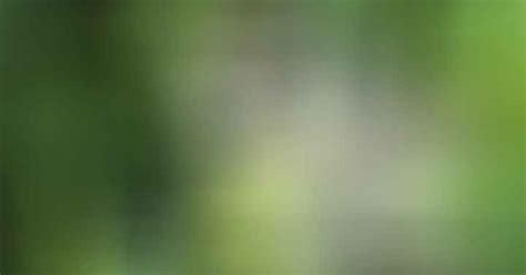 Found Cancer Promoting Simian Virus 40 Sv40 In Pfizer Vials