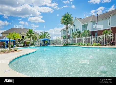 A Large Curvy Built In Zero Entry Swimming Pool Is A Focal Point For