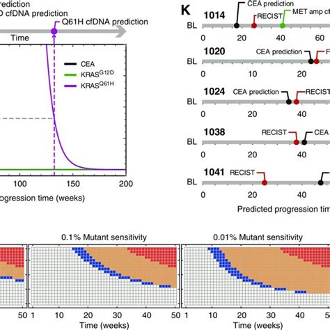 Concordance Between Liquid Versus Tissue Biopsies A Heat Map Download Scientific Diagram
