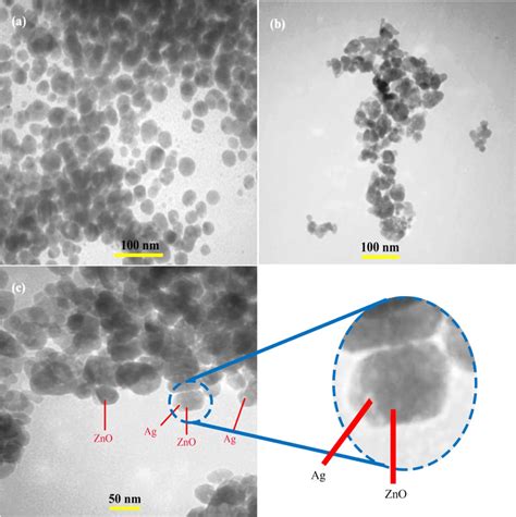 Tem Micrographs Of A Pure Zno And B And C Znoaghc Nps Download
