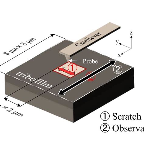 Schematic Image Of The Scratch Test Download Scientific Diagram