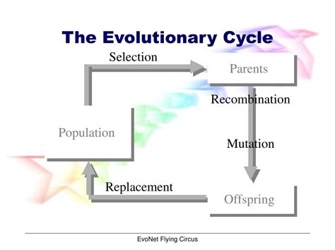 Ppt Introduction To Evolutionary Computation Powerpoint Presentation Id 4736569