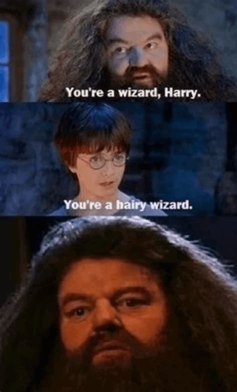 The Right Comeback Harry Potter Know Your Meme