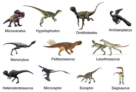 Now That Tiny Dinosaurs Have New Behaviors And Have Been Given A Lot