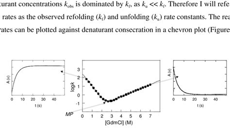 Chevron Plot And Raw Data From Unfolding Refolding These Curves Are Download Scientific