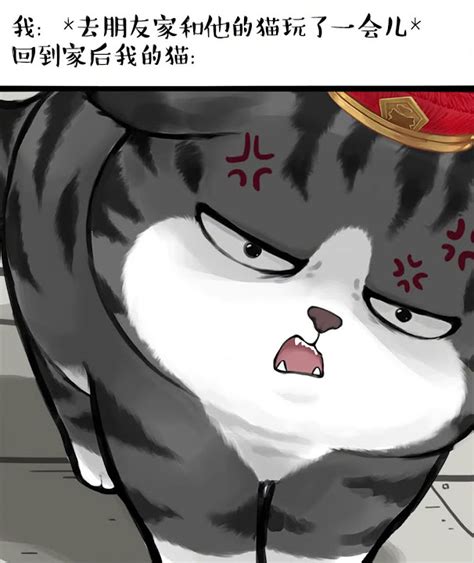 你家的猫”meme猫咪吾皇猫 内容过于真实 表情包 Youtube