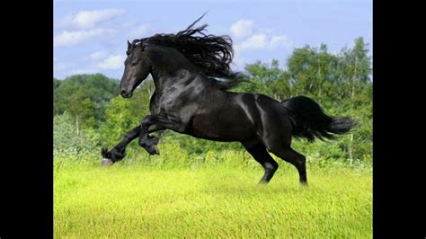 რაში ხელოვნური ინტელექტის მიერ შექმნილი სიმღერა Ai Youtube