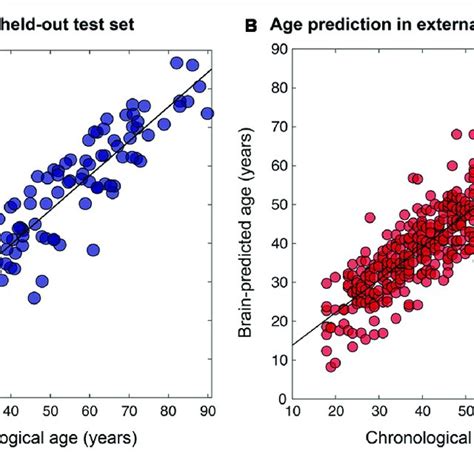 Relationship Between Chronological Age And Brain Predicted Age Download Scientific Diagram