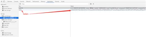 Python Selenium Token Rchow
