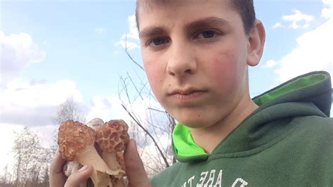 Перші весняні гриби 2023 року 26 04 23 грибів повно Youtube