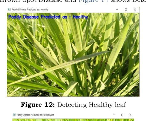 Figure From Paddy Crop Disease Detection Using Deep Learning