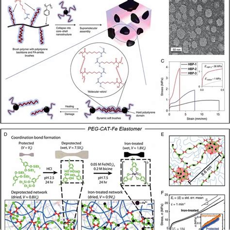A Design Concept Of The Multiphase Self‐healing Ps‐pa Elastomer B Download Scientific
