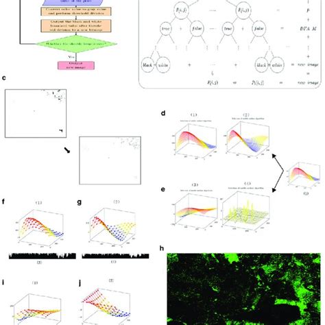 Optimization Of Image Processing Algorithms Download Scientific Diagram