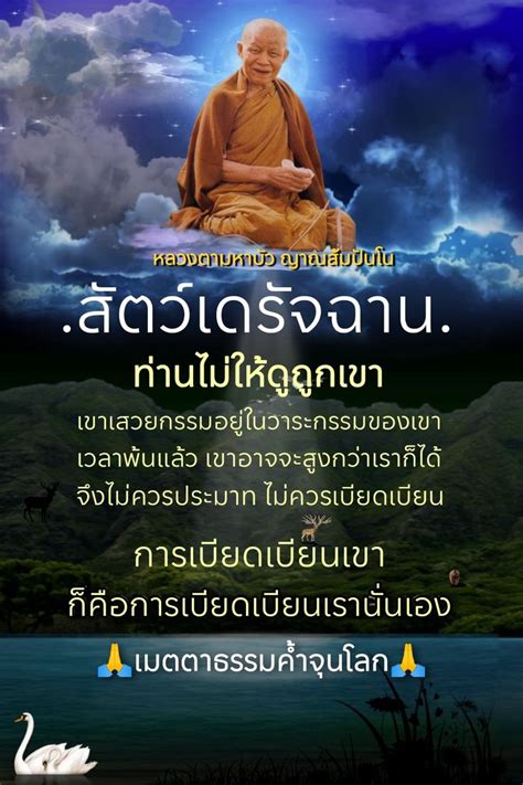เมตตาธรรม คำสอนพระพุทธเจ้า คติเตือนใจ คำคม